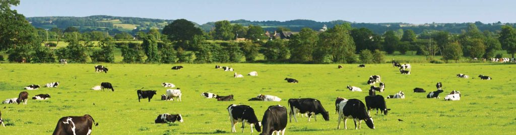 specialised farm services - FRS Farm Relief Services