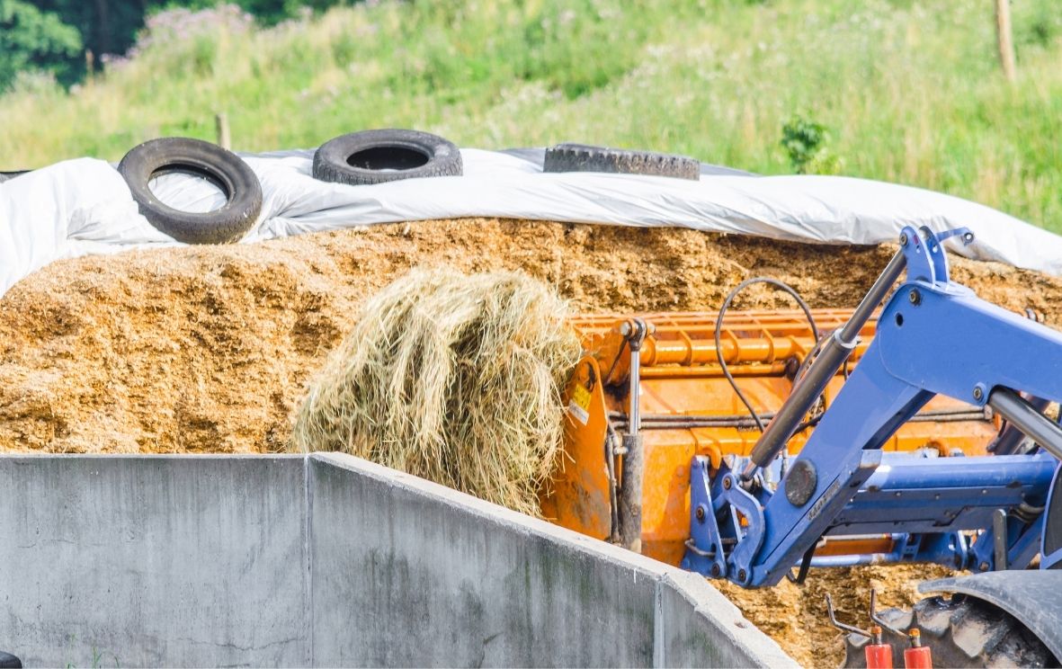 Farmers To Consider Their Long Term Labour - FRS Farm Relief Services