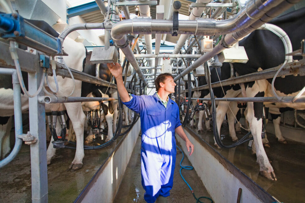 Expert Farm Services | Farm Labour - FRS Farm Relief Services