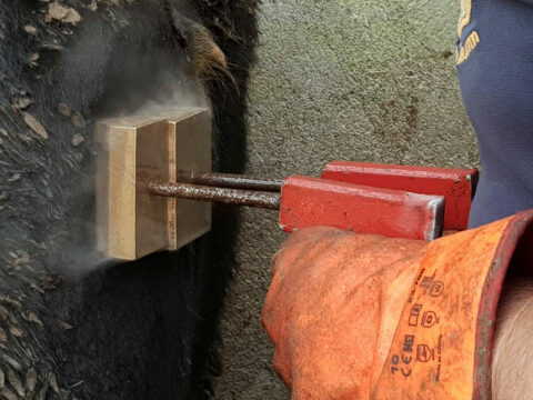 Expert Farm Services | Farm Labour - FRS Farm Relief Services